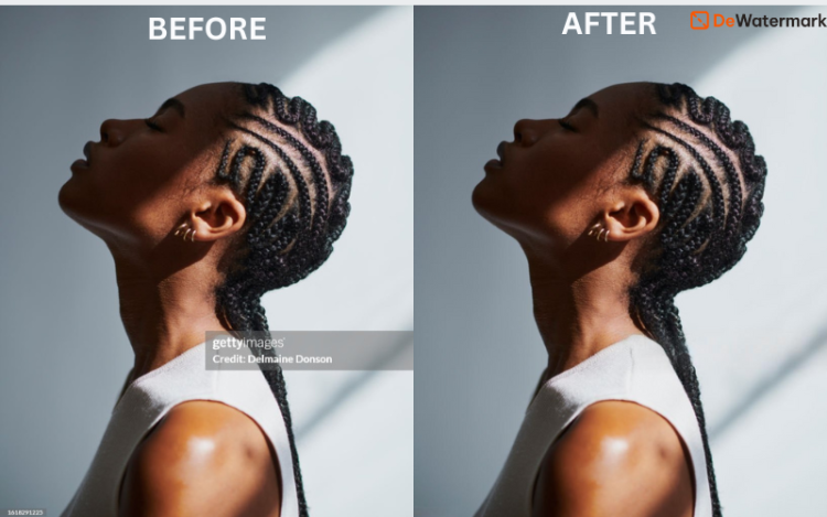 What watermarks can Dewatermark.ai remove? A detailed breakdown ...