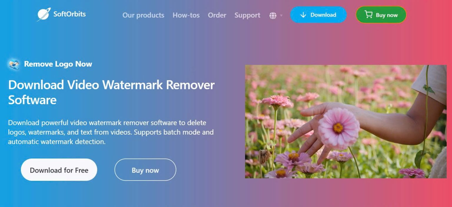 5 Best Video Watermark Removers (2025 Edition) - Dewatermark Blog