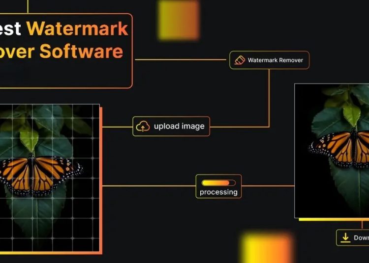 Watermarks 101: What they are and why they matter - Dewatermark Blog